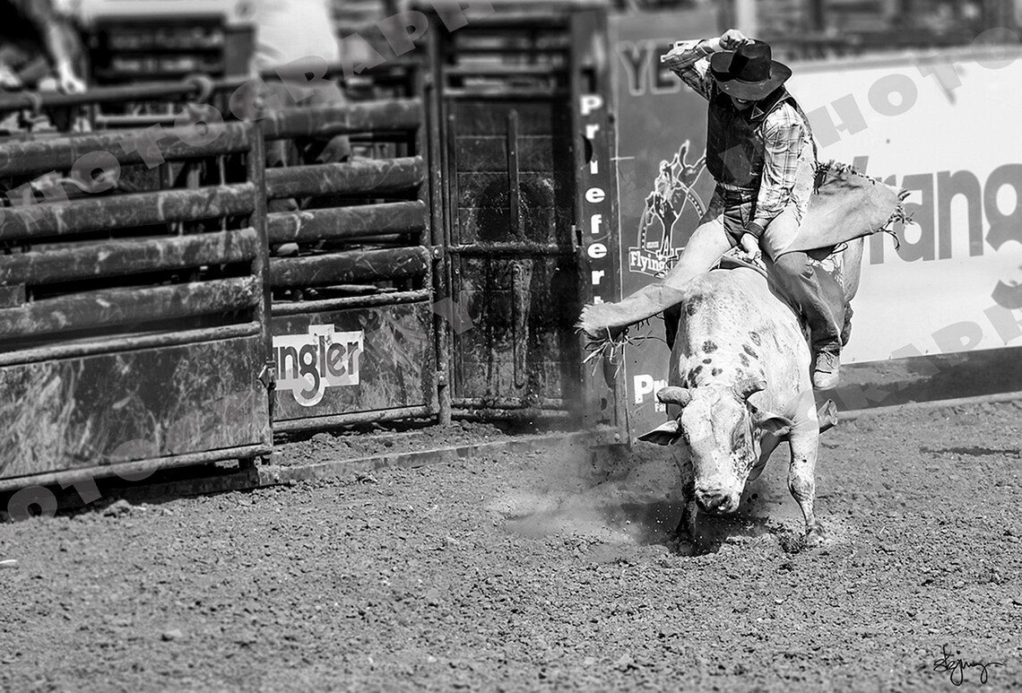 Rodeo, Black and White Photography, Bull Rider, Country Decor, Country ...