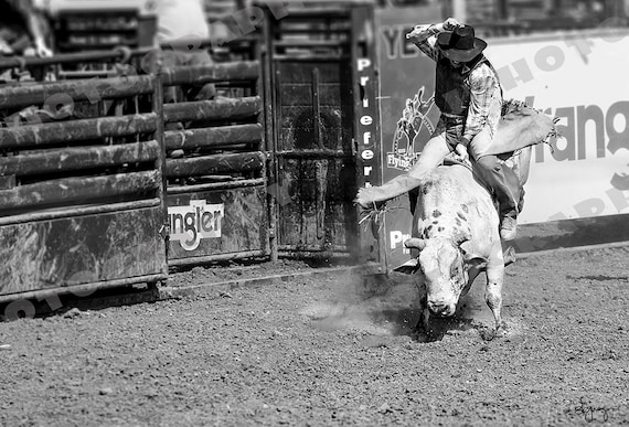 Rodeo Black and White Photography Bull Rider Country Decor | Etsy