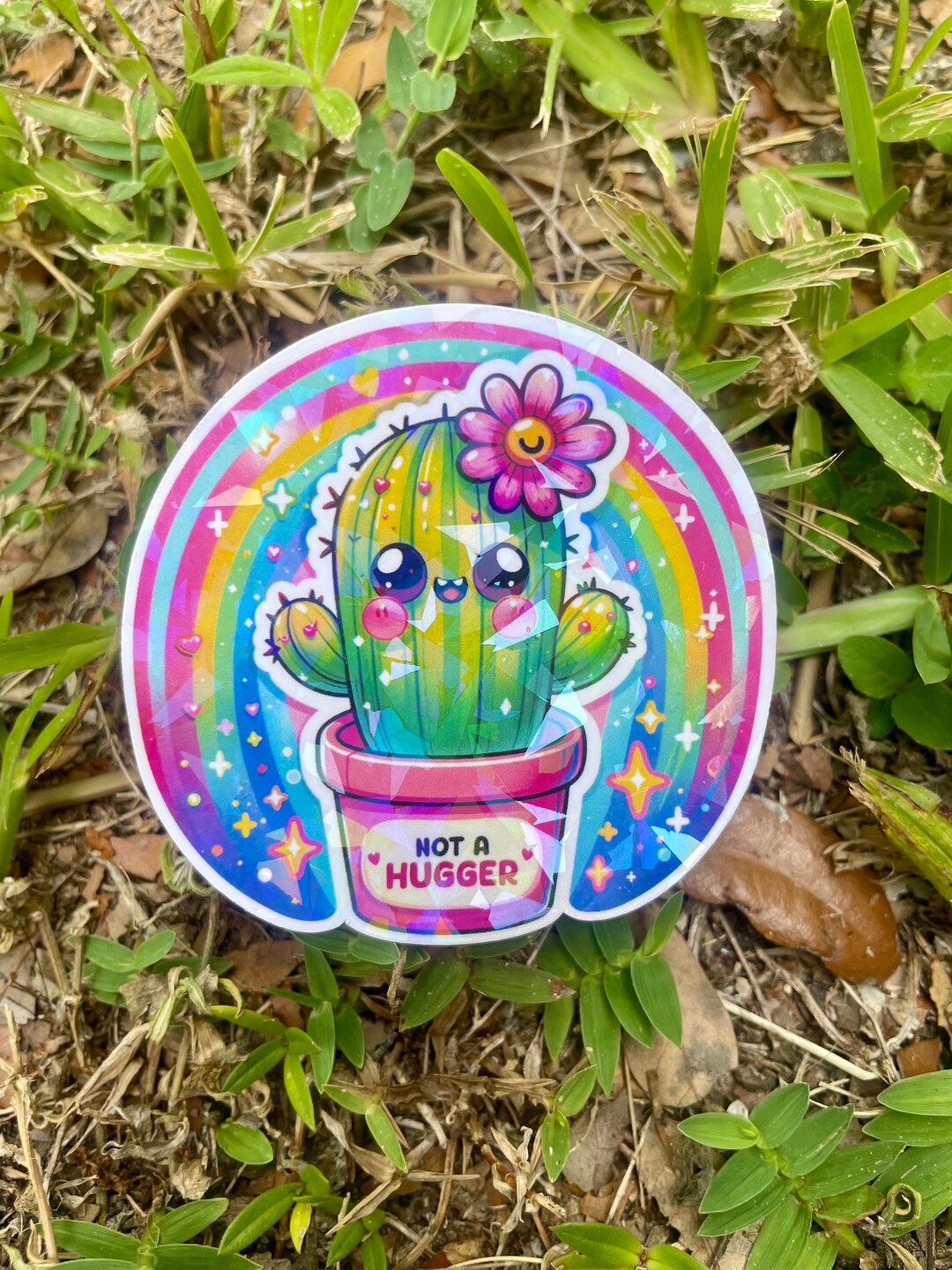 Not a Hugger Cactus Vinyl Waterproof Holographic Sticker, Humor Sticker ...