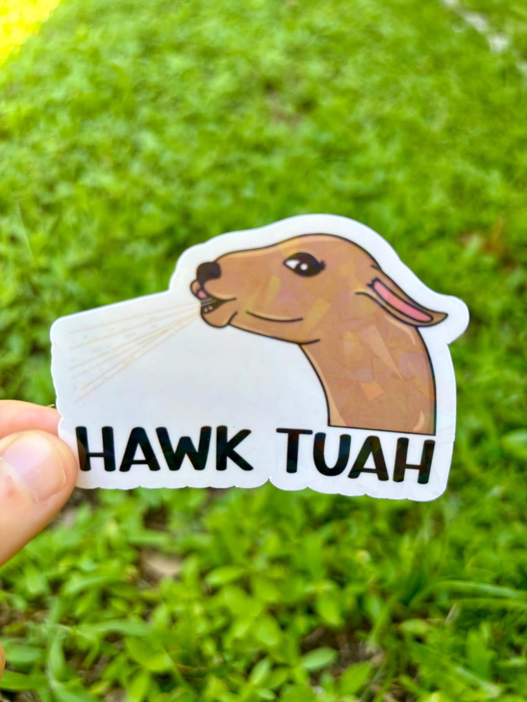 Hawk Tuah, Holographic Sticker, Adult Humor - Etsy