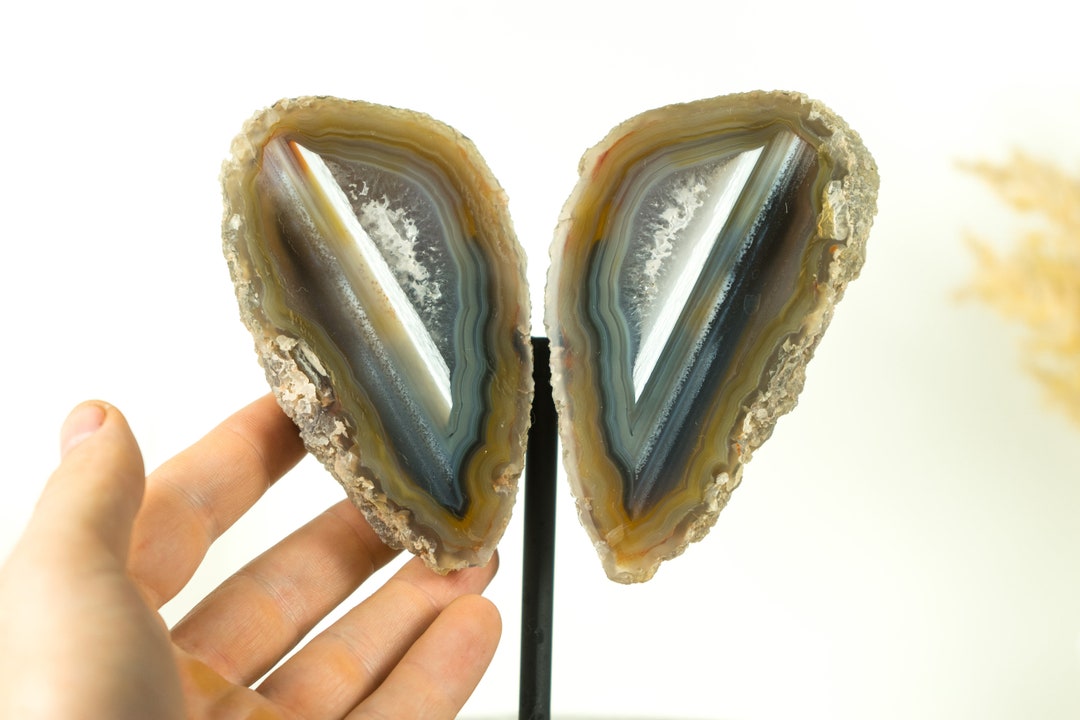 Collector Grade Water Lined Agate Geode, Cut in Butterfly Wings Format ...