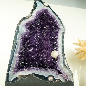 Rare Amethyst Geode With Deep Purple Amethyst Druzy, Blue Lace Agate ...