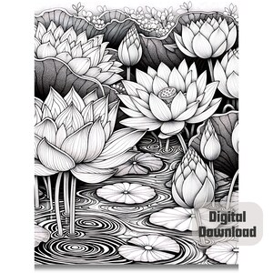 Tranquility Trails: Mindfulness Coloring Book for Adults - Etsy