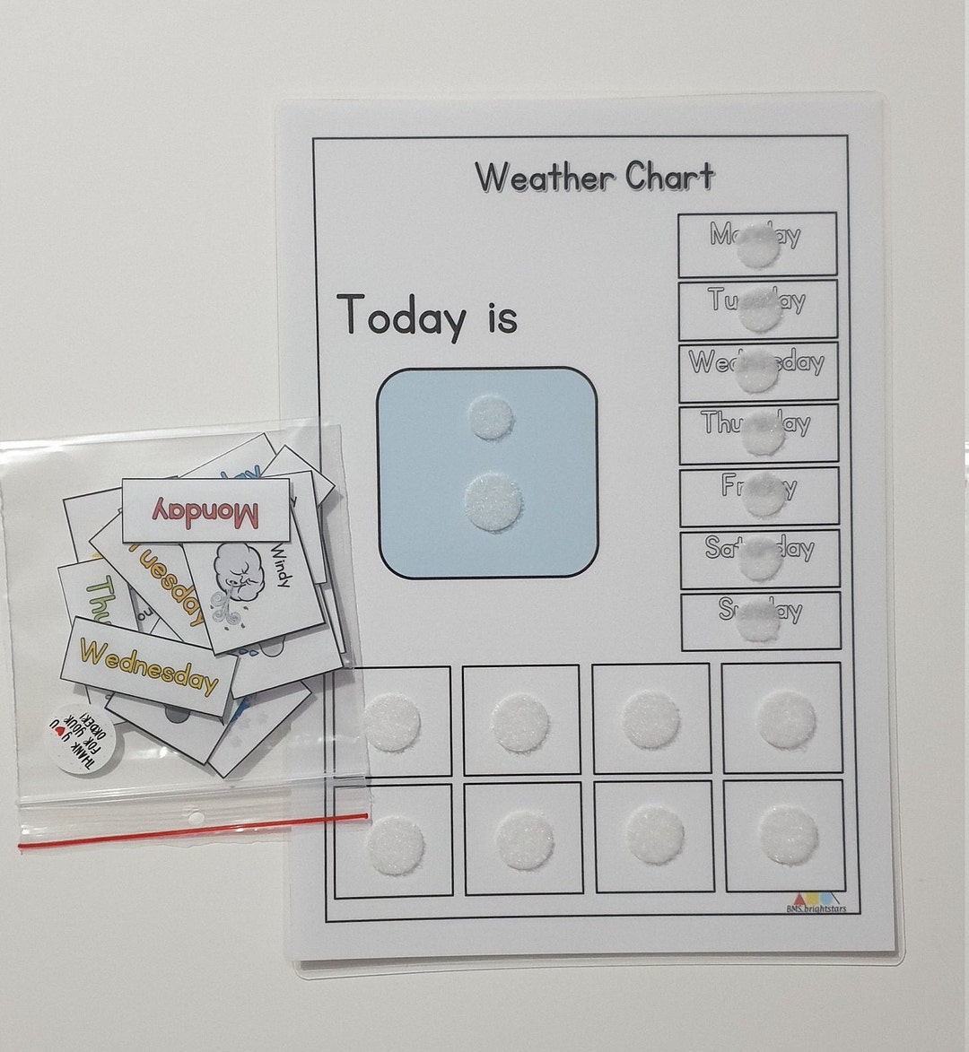 Weather Chart Activity Early Learning Preschool Resources ASD - Etsy