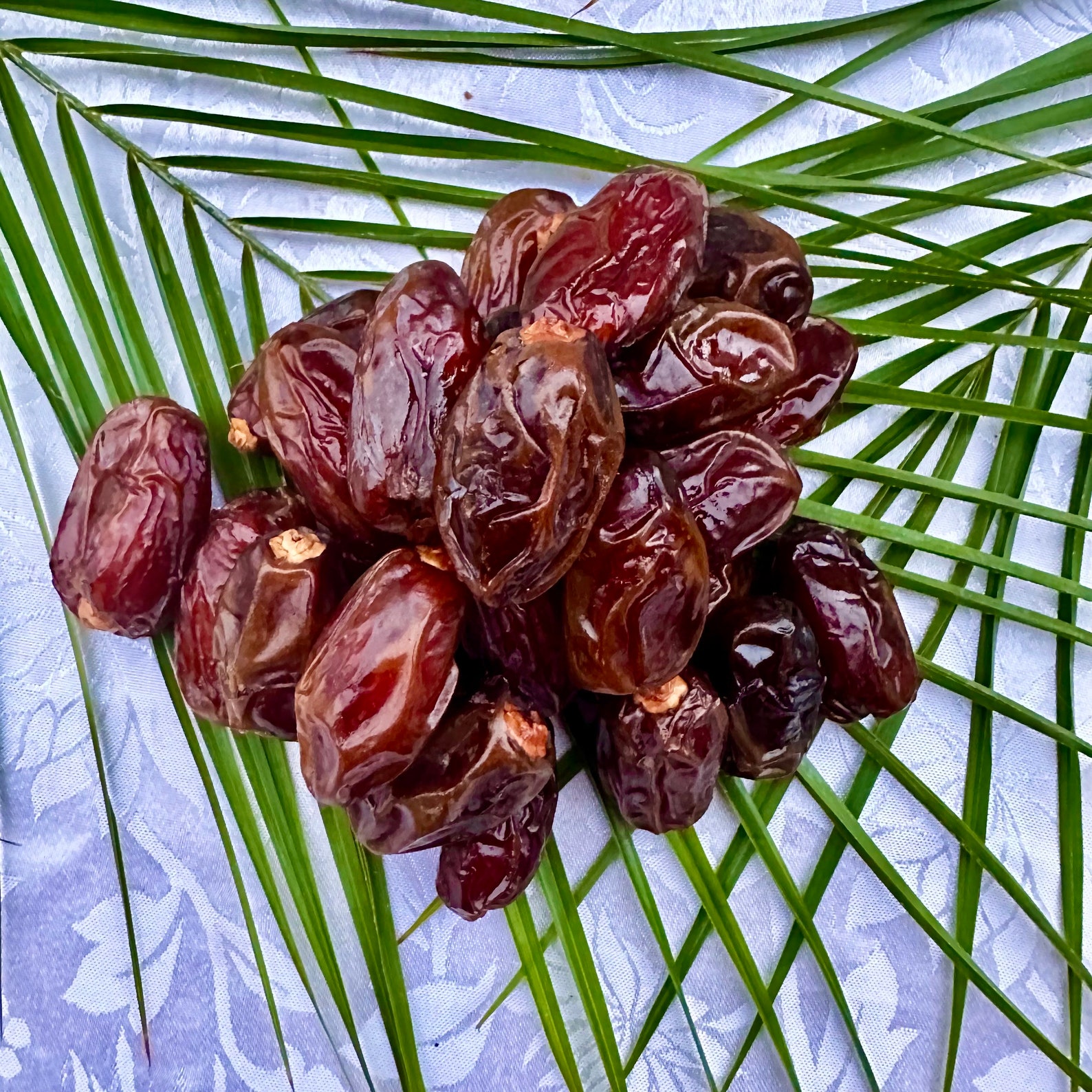 5lbs Choice MEDJOOL Dates - Medium/large Size - Golden Dates Farm - Etsy