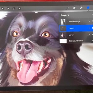 Turn Pet Photos Into Pet Portraits Tutorial Procreate - Etsy UK