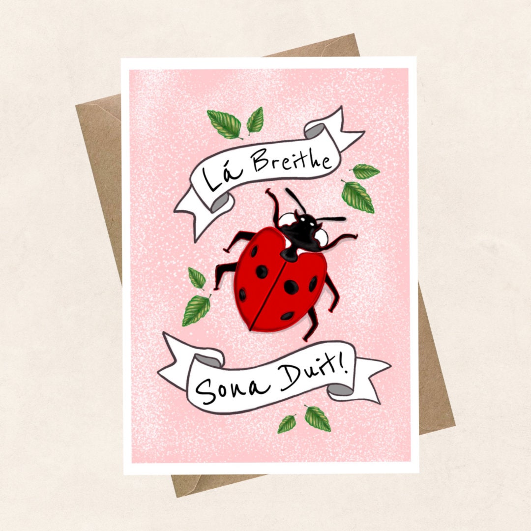 Breithlá Sona Duit, Ladybird - Etsy UK