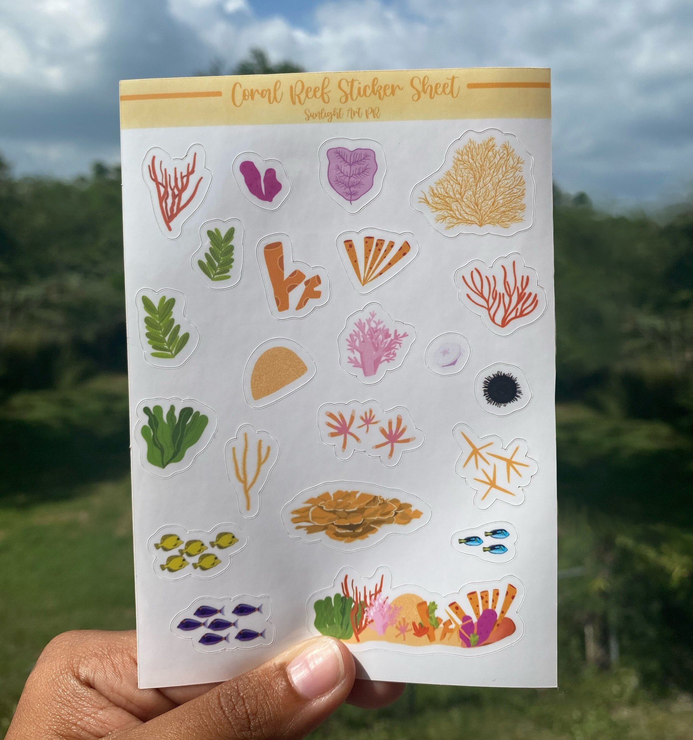 Coral Reef Sticker Sheet Korallenriff Wasserflasche | Etsy