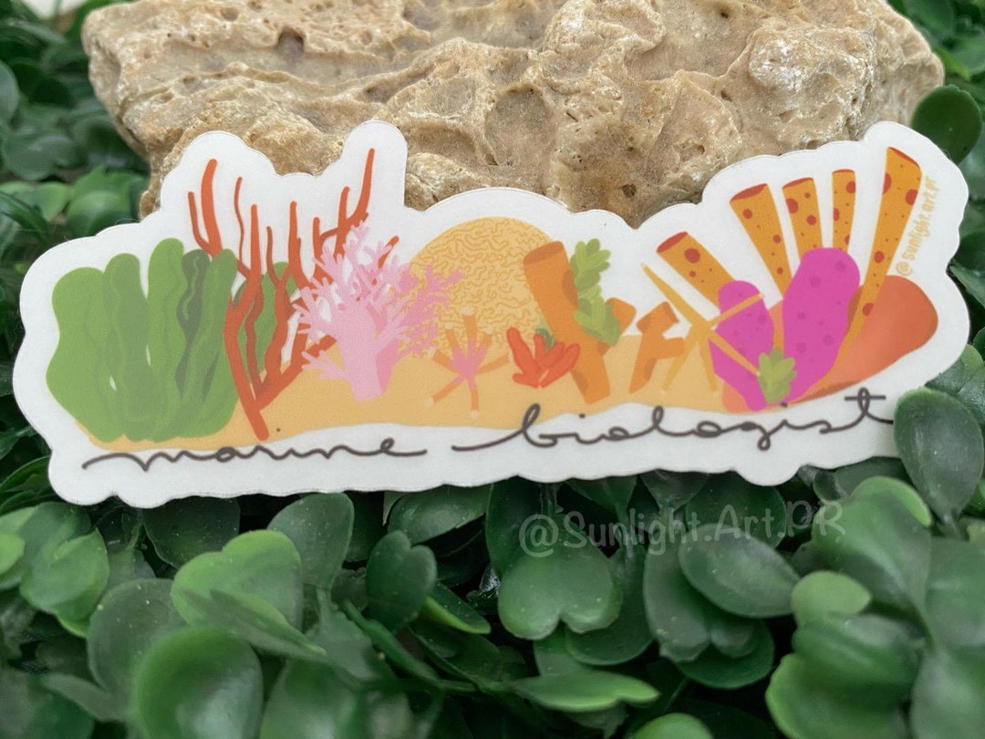 Marine Biologist Sticker Marine Biology Marine Science - Etsy