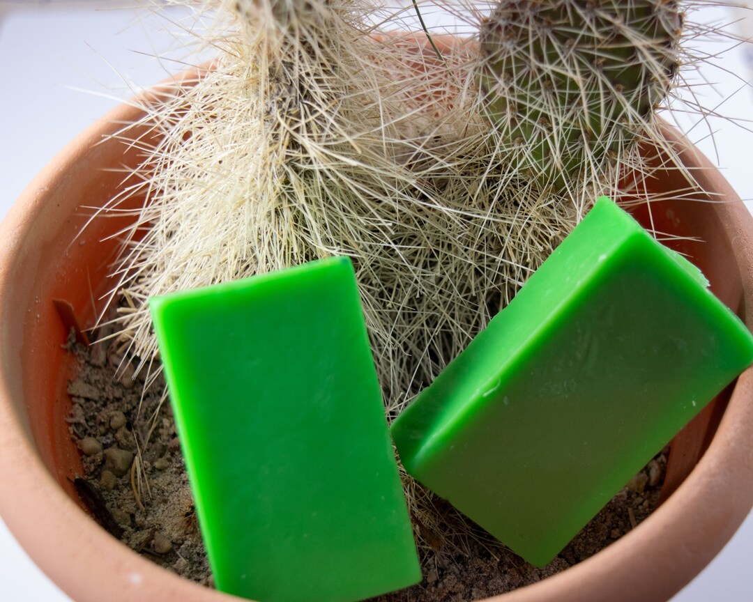 Cactus Jade Soap soap bar - Etsy