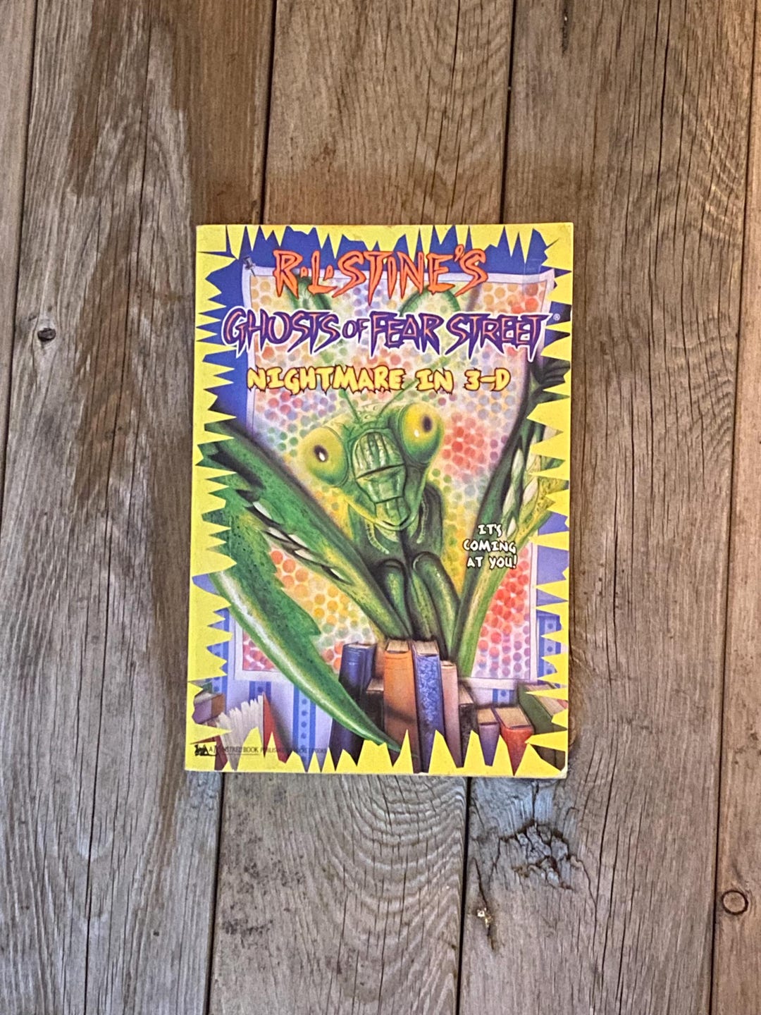 Goosebumps Fear Street / R.L. Stine / Young Adult Books / Kids Horror ...