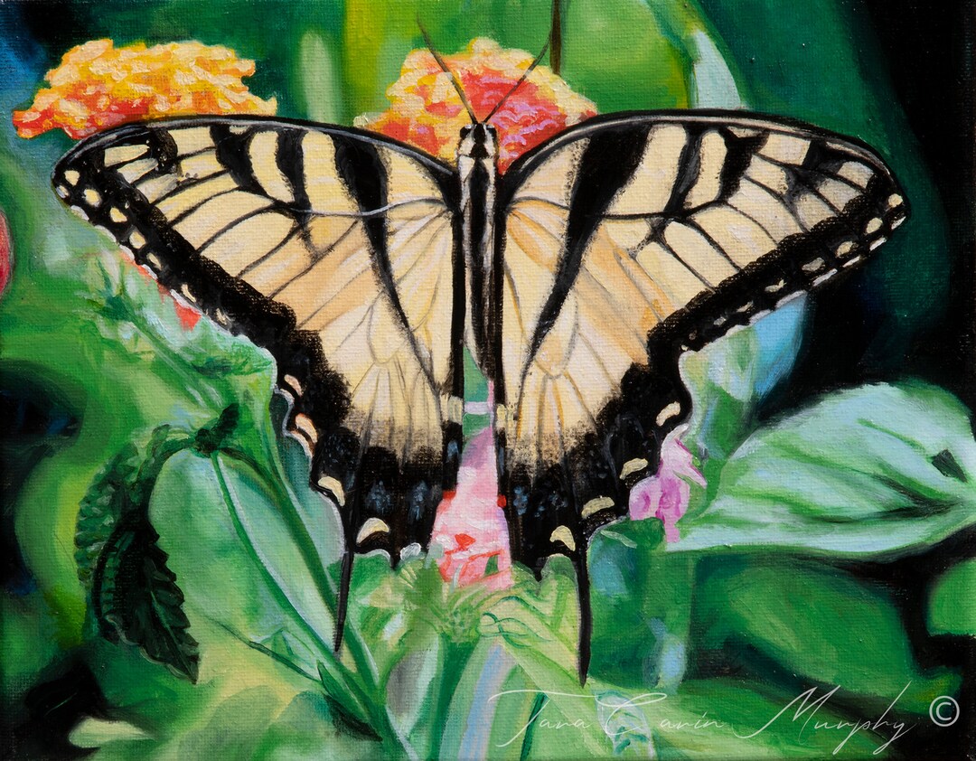 Eastern Tiger Swallowtail Butterfly 10" X 8" - Etsy