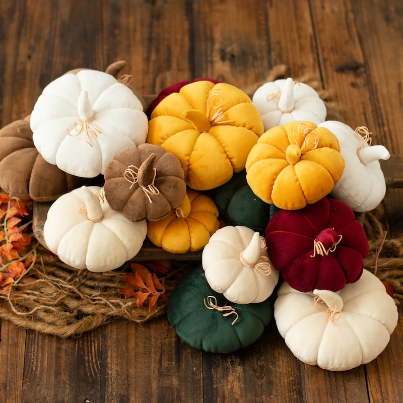 Fall Photo Prop - Etsy