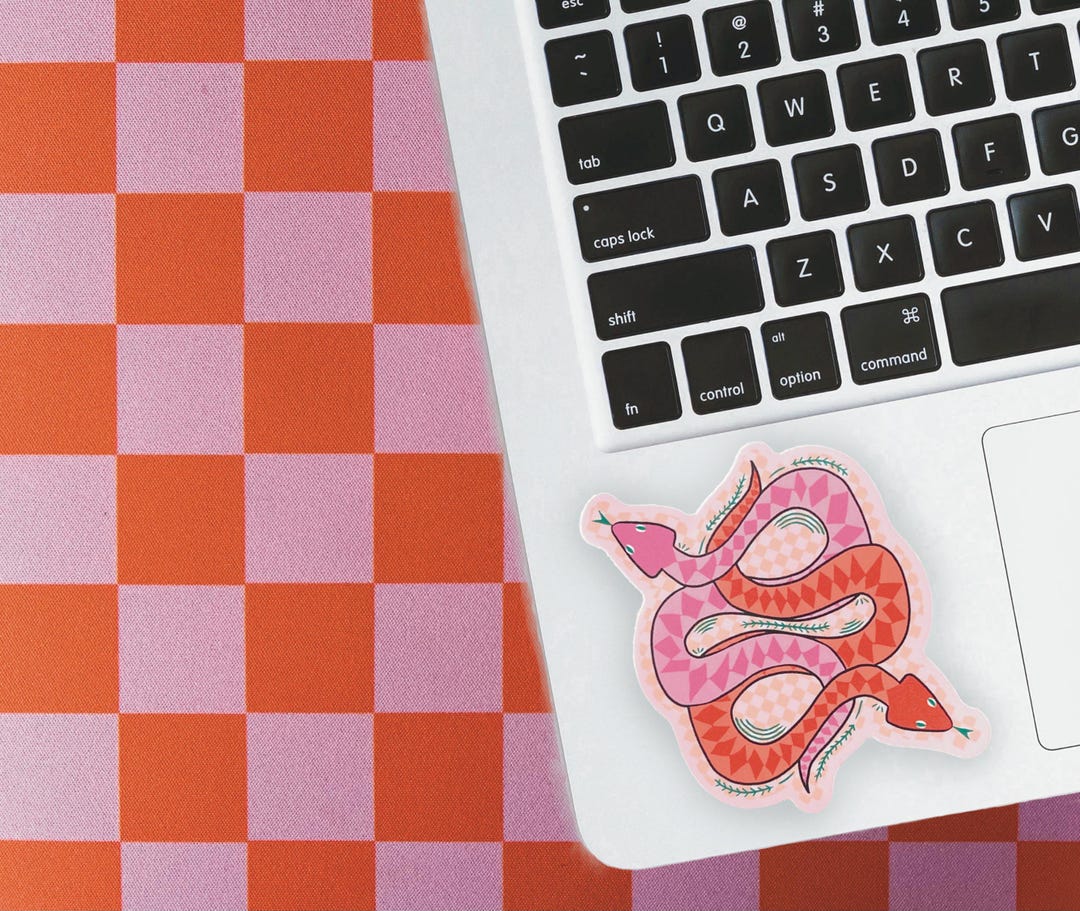 Intertwined Snakes Sticker: Boho Sante Fe Vinyl Laptop Decal - Etsy
