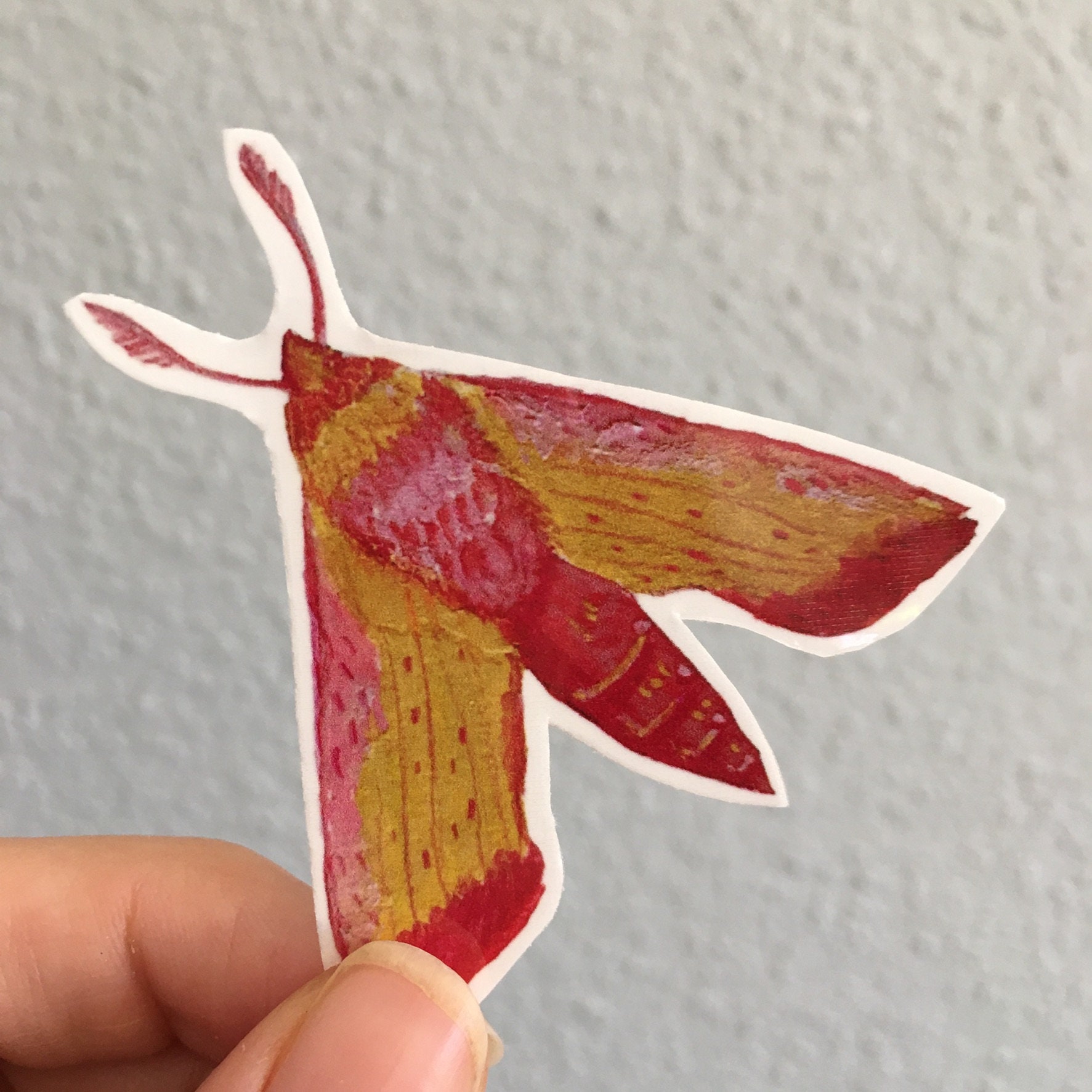 4 Moths Festival Temporary Tattoos. Cute Illustrated Colorful - Etsy