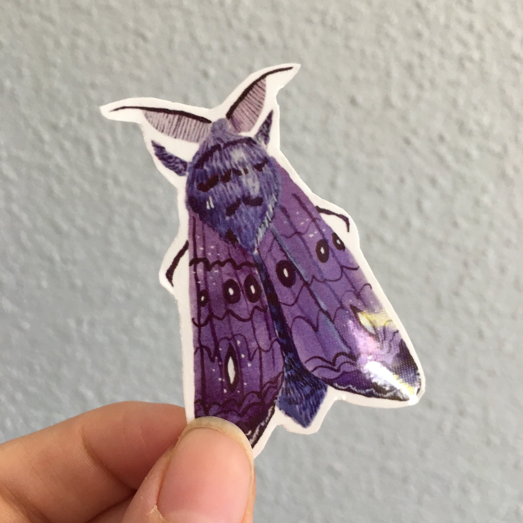 4 Moths Festival Temporary Tattoos. Cute Illustrated Colorful - Etsy