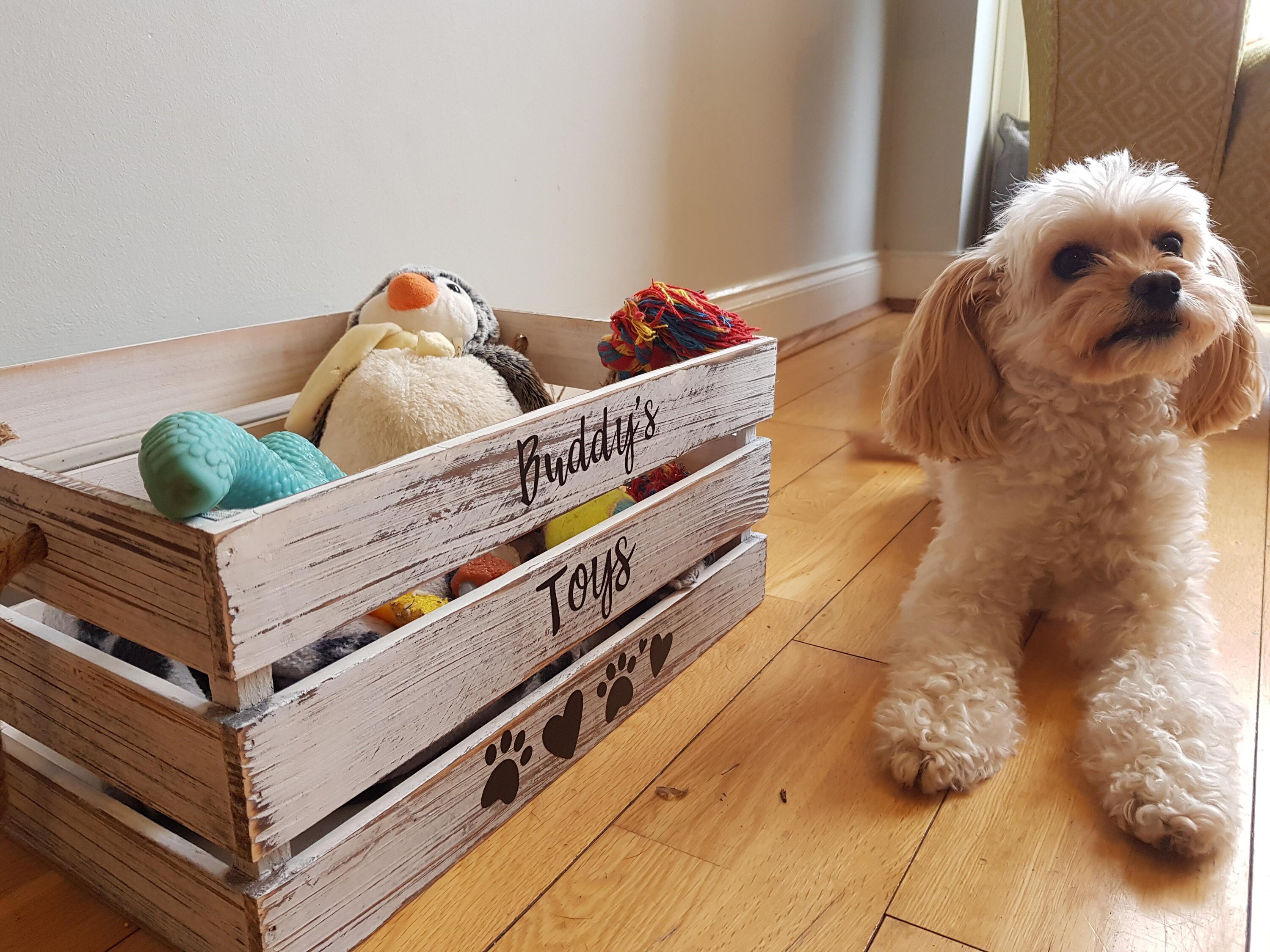 Personalised Dog Toy Box Medium Etsy Personalised Dog Toy Box Medium Etsy