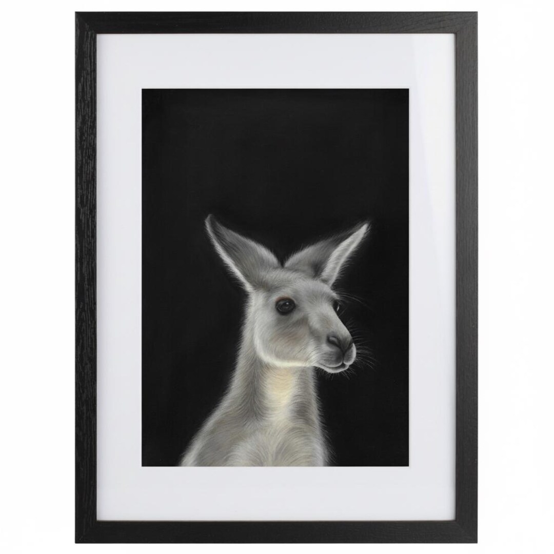 Kangaroo Original Pencil Drawing - Etsy