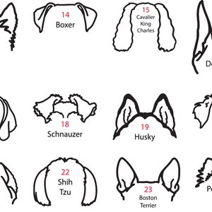 Custom Dog Ear Sweatshirt Pet Name Dog Tee Pet Line - Etsy