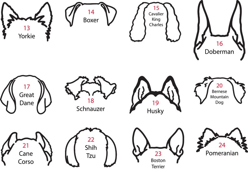 Custom Dog Ear Sweatshirt Pet Name Dog Tee Pet Line - Etsy