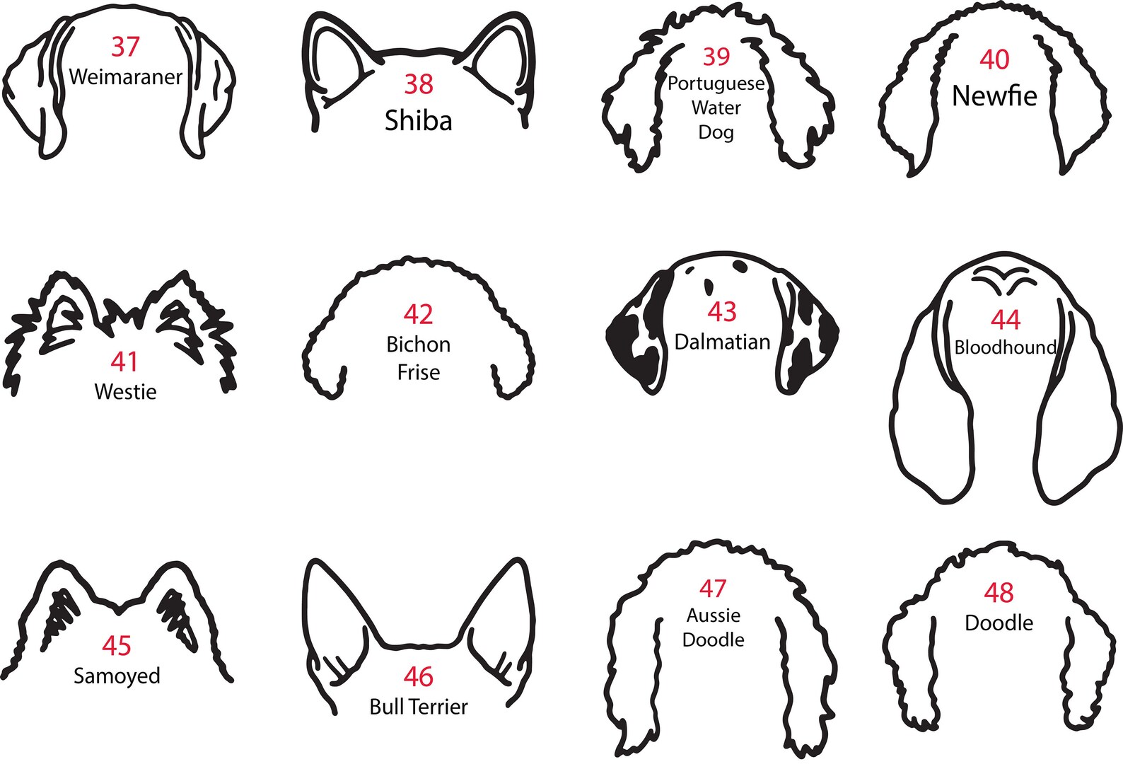 Custom Dog Ear Sweatshirt Pet Name Dog Tee Pet Line - Etsy