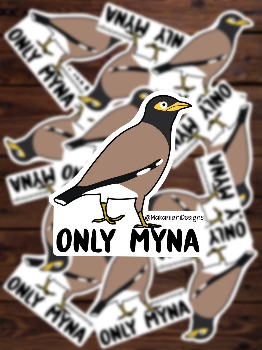 Only Mynah/ Myna /minah /minor/ Bird /hawaii Decal /hawaiian - Etsy