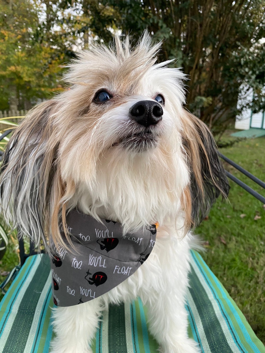 You'll Float Too Dog Over-collar Bandana XS-L - Etsy