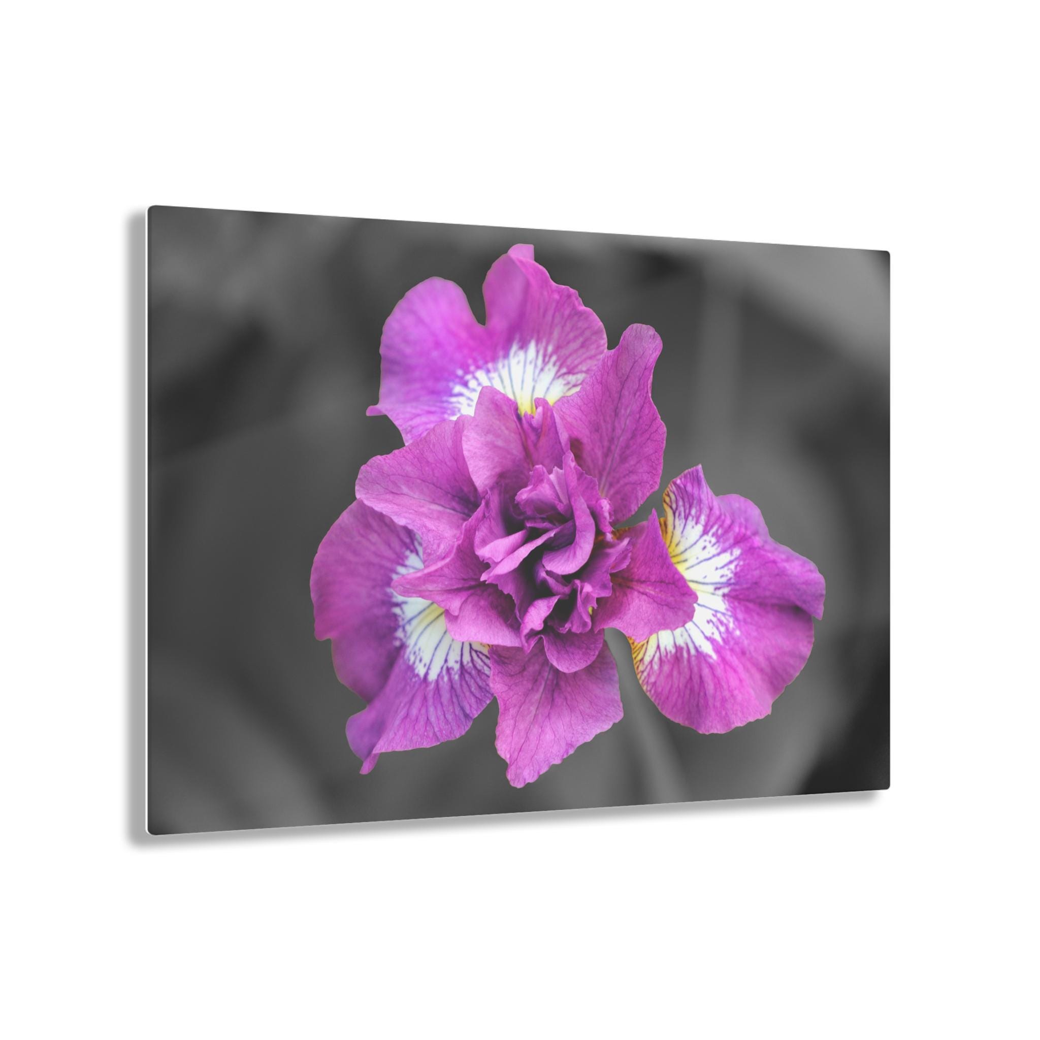 Purple Iris Wall Art Selective Coloring Floral Gift for Her - Etsy