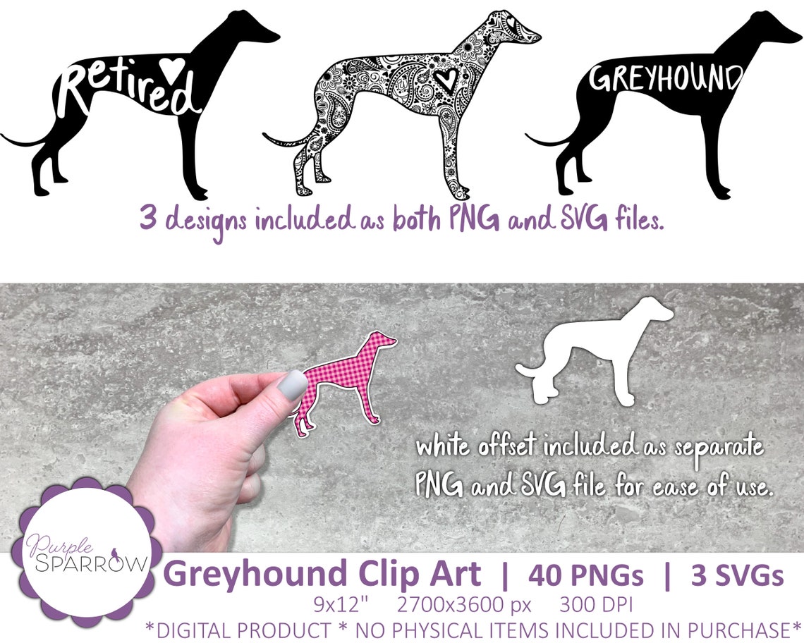 Greyhound Clip Art Collection 3 SVG and 40 PNG Files - Etsy