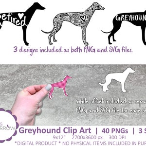Greyhound Clip Art Collection | 3 SVG and 40 PNG Files - Etsy