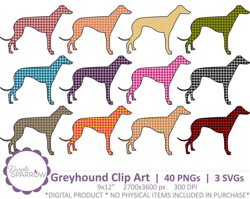 Greyhound Clip Art Collection | 3 SVG and 40 PNG Files - Etsy