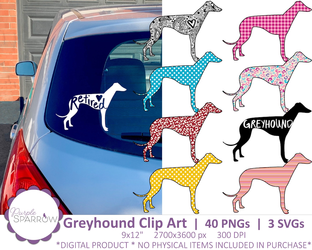 Greyhound Clip Art Collection | 3 SVG and 40 PNG Files - Etsy