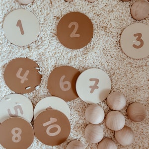 Number Chip Learning Disc Counting Preschool Kindergarten Homeschool ...