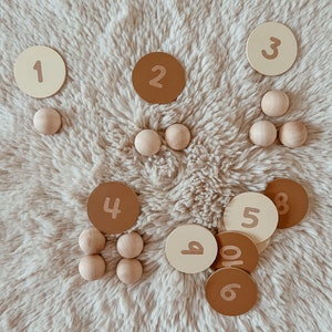 Number Chip Learning Disc Counting Preschool Kindergarten Homeschool ...