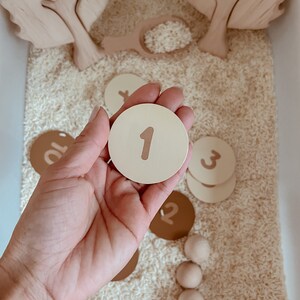 Number Chip Learning Disc Counting Preschool Kindergarten Homeschool ...