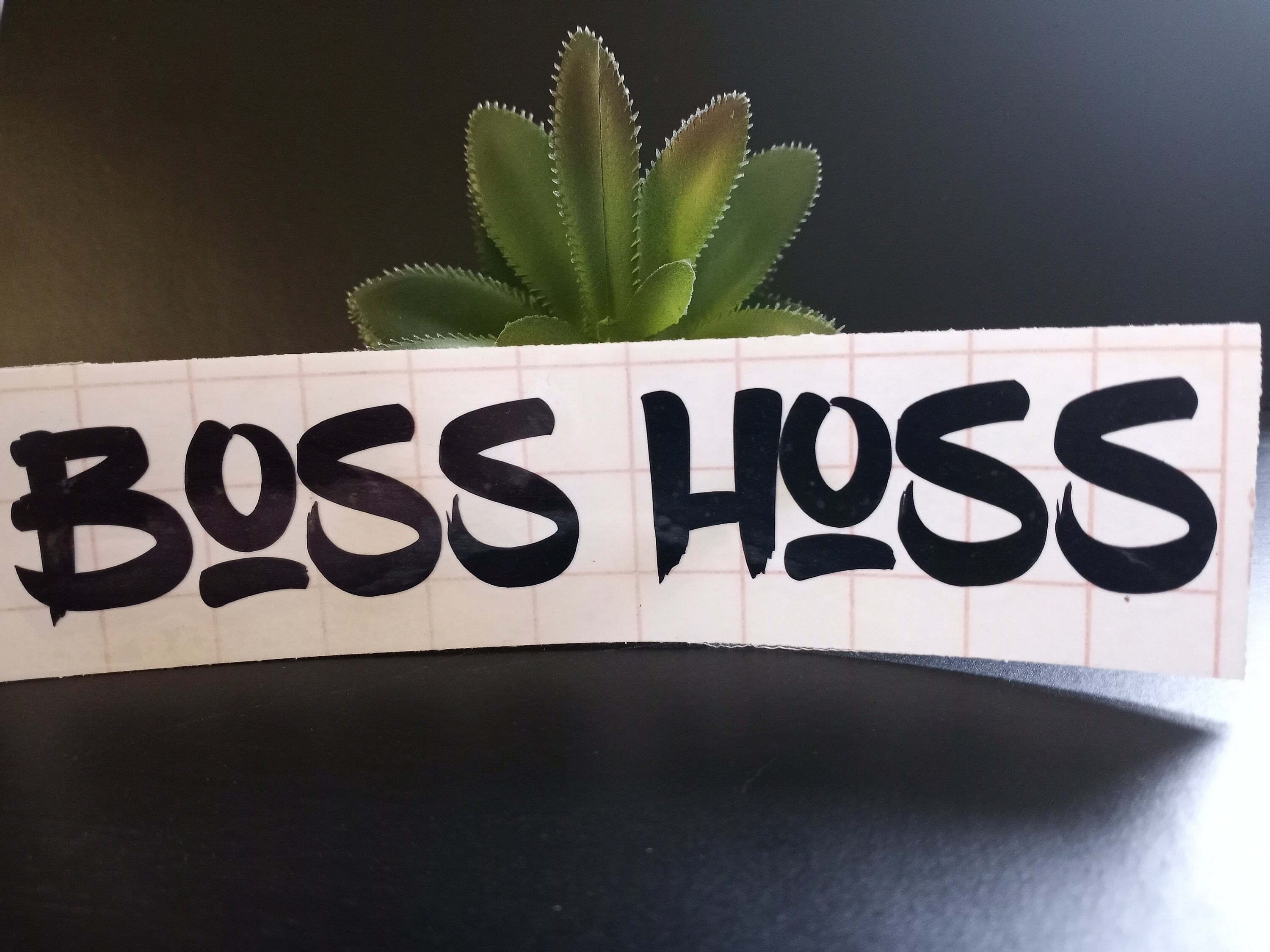 Boss Hoss Decal - Etsy