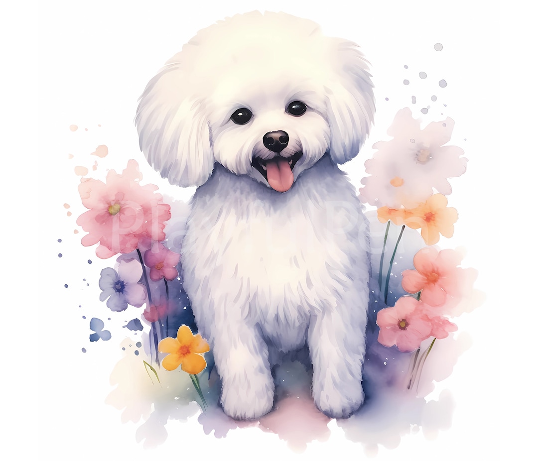 Bichon Frise Clipart 8 High Quality Jpgs Printable Cute Dog - Etsy