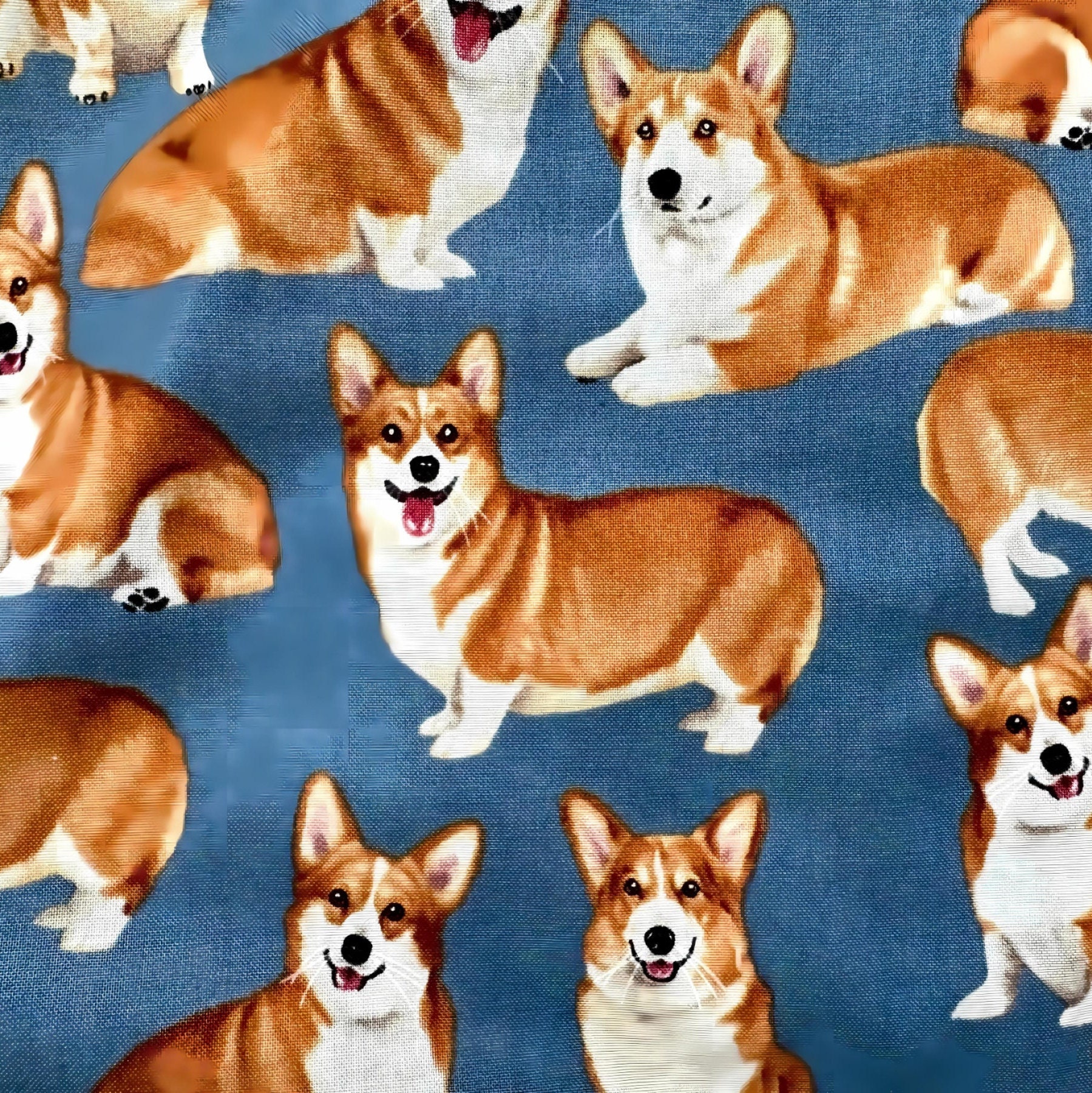 Kids Art Smock in Long Sleeves, Cotton Print in Cute Corgi Dog Prints ...