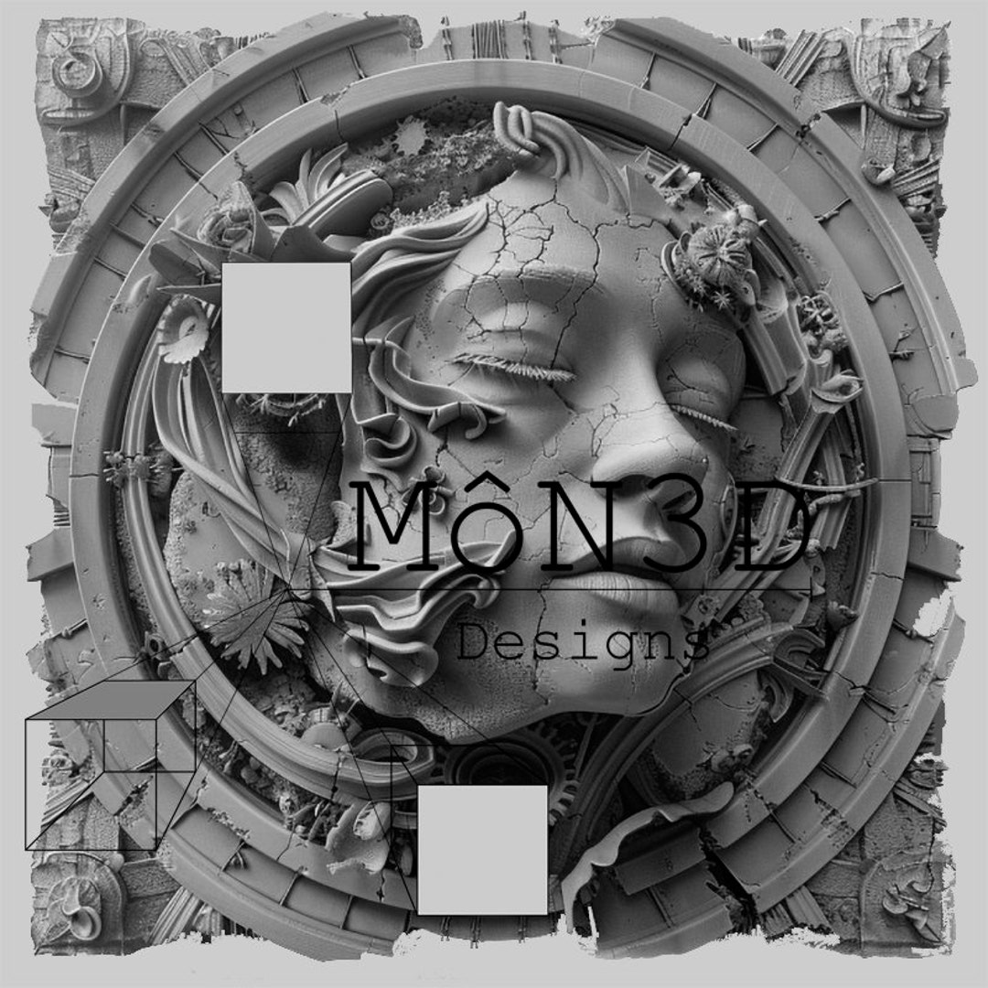 COINS Abstract Woman's Face in Tranquil 3/4 Profile - Perfect for Laser ...