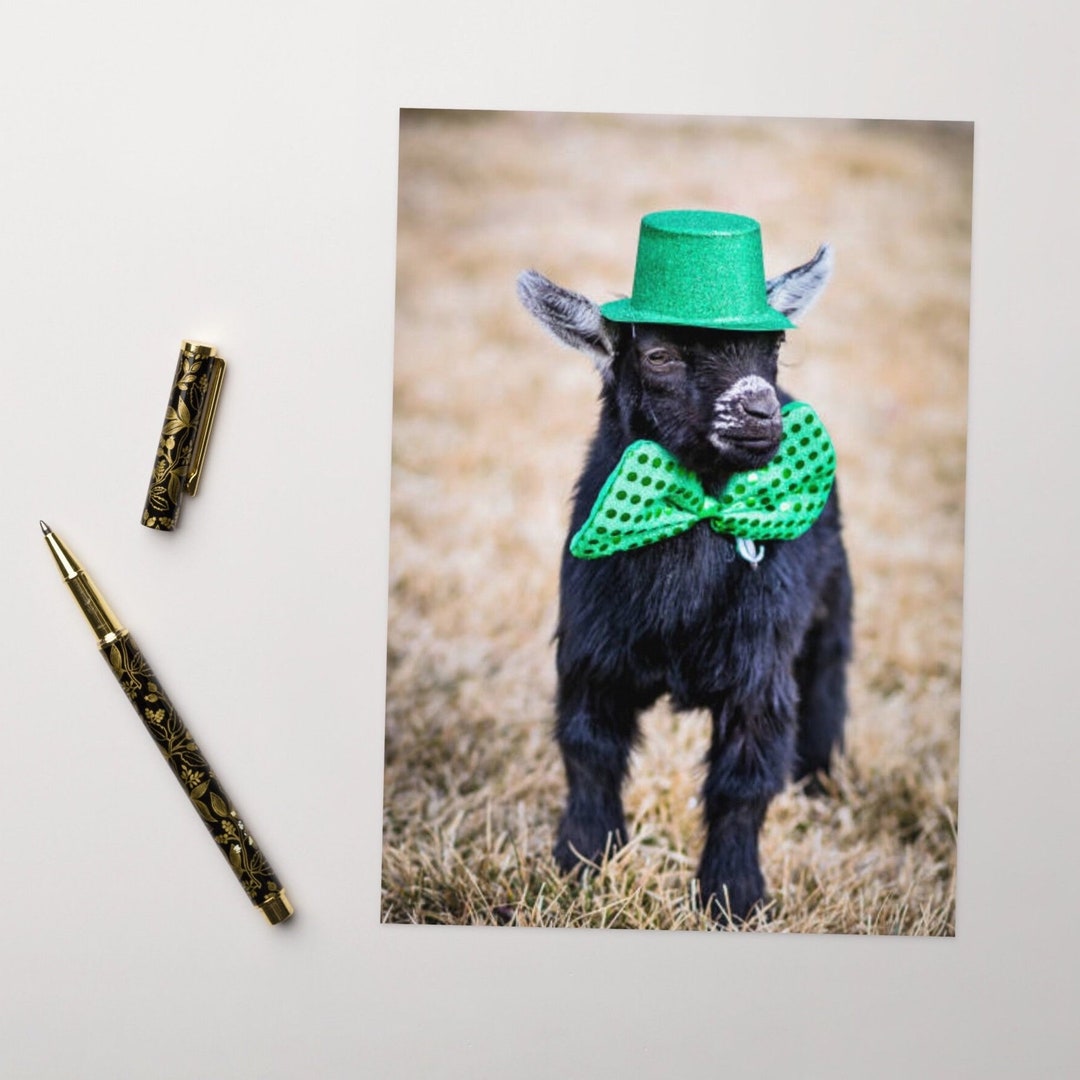 Lucky Goat Kid St. Patrick's Day Card, Cute Baby Goat Farm Animals ...