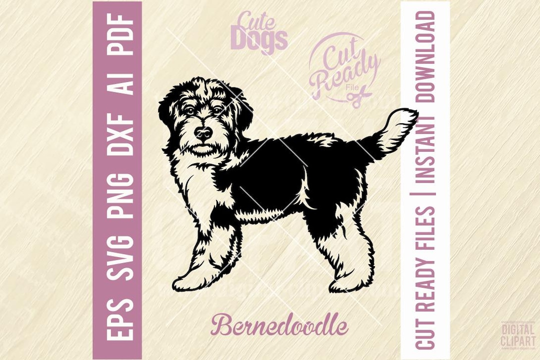 Bernedoodle Svg, Dog Breed, Funny Dog - Pet Vector Dog, Dog Silhouette ...