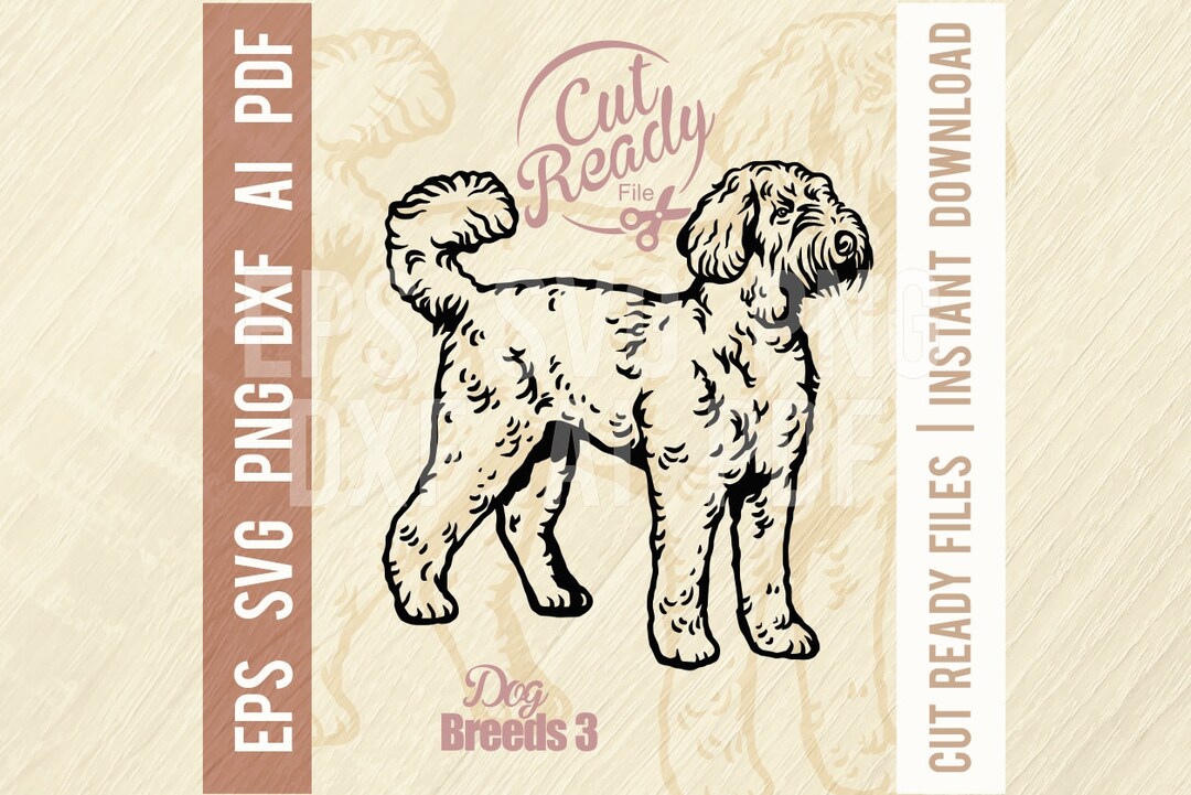 Labradoodle Svg, Dog Breed, Funny Dog Pet Vector Dog, Dog Silhouette ...