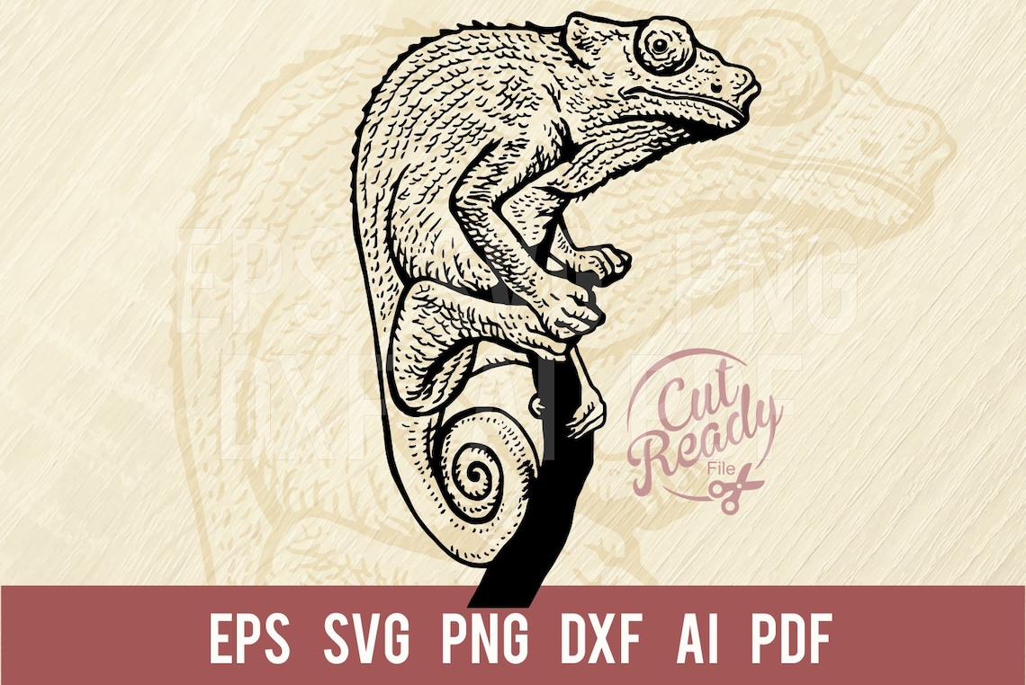 Peeking Chameleon SVG Comic Animal SVG Funny Animal Cut - Etsy