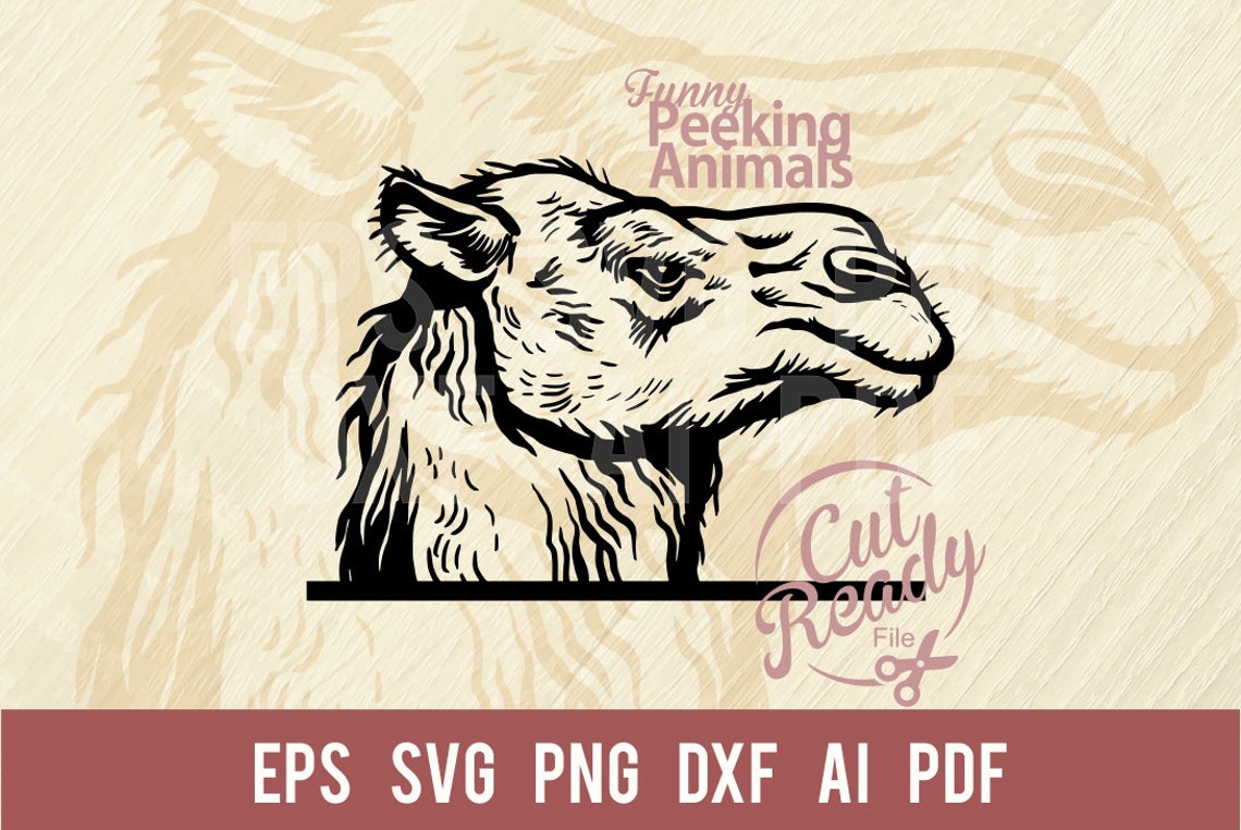 Peeking Camel SVG Comic Animal SVG Funny Animal Cut File - Etsy
