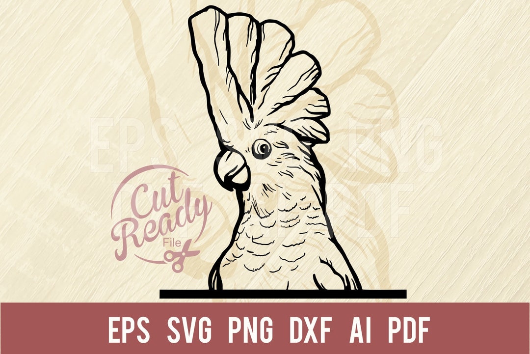 Cockatoo Parrot SVG - Comic Animal SVG Funny Animal Cut File, Wildlife ...
