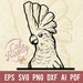 Cockatoo Parrot SVG Comic Animal SVG Funny Animal Cut File, Wildlife ...
