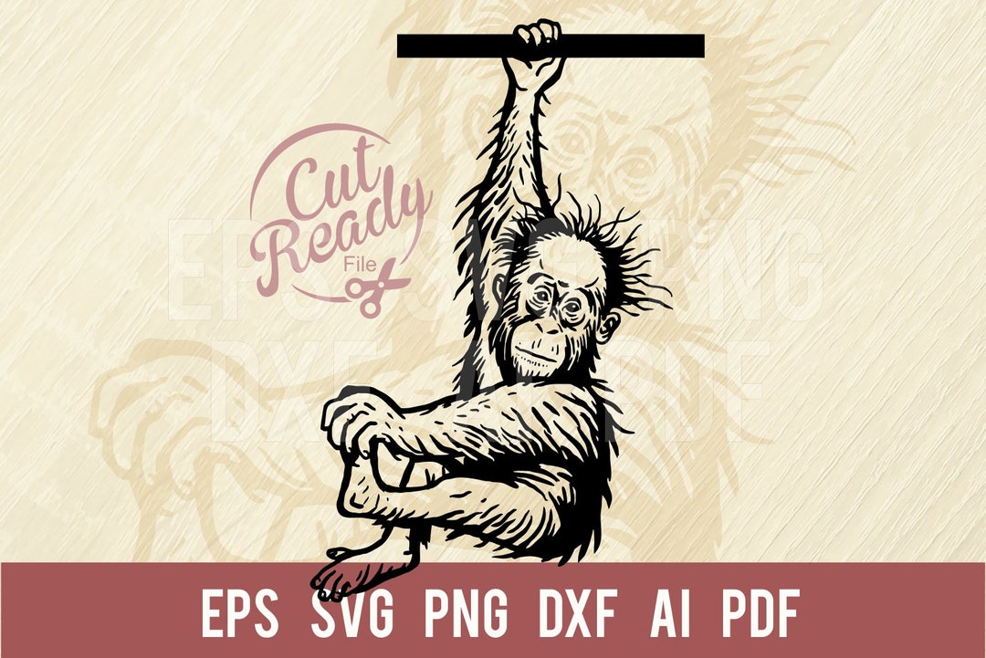 Baby Chimpanzee SVG - Comic Animal SVG Funny Animal Cut File, Wildlife ...