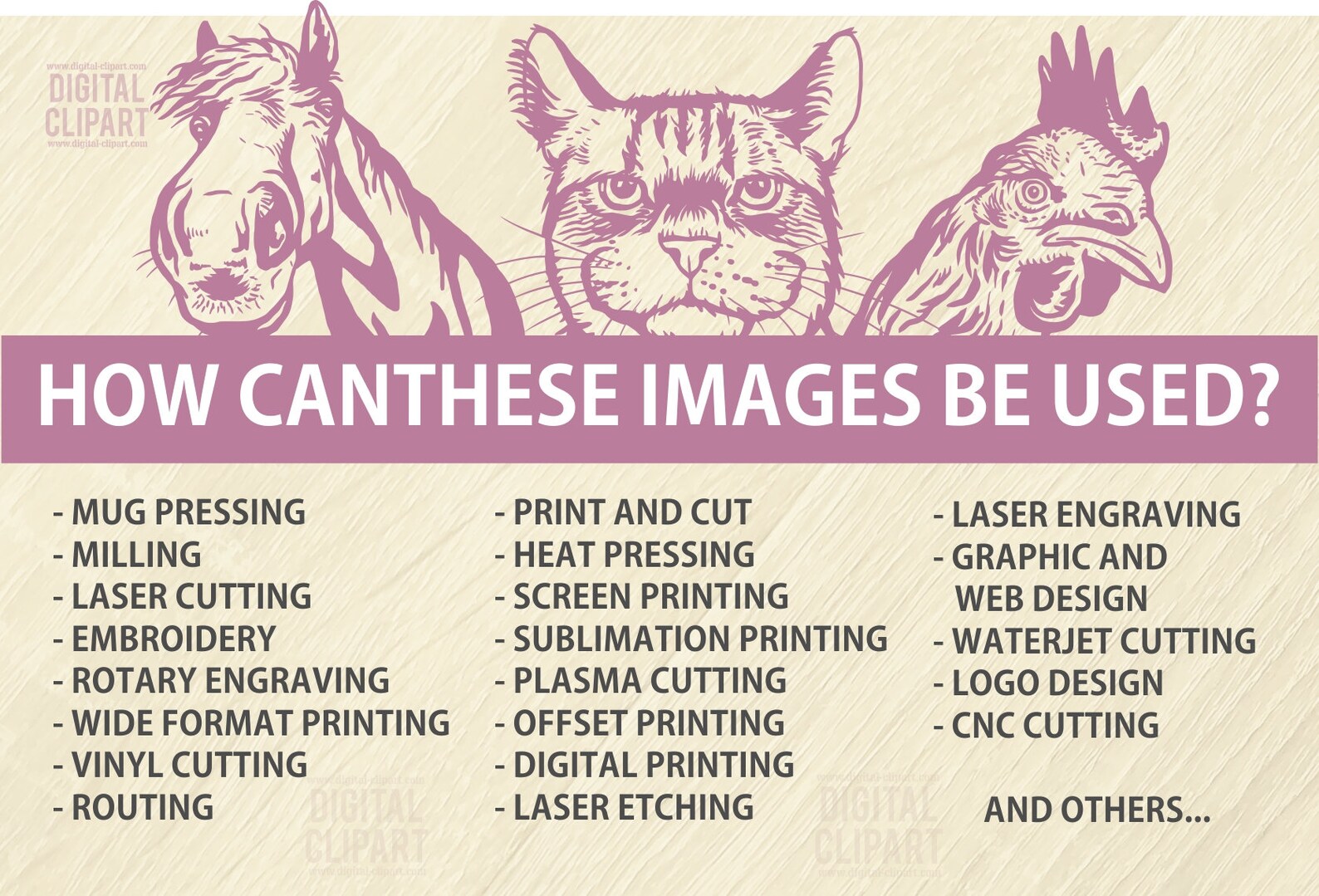 Cheeky Cat SVG Peeking Cat Cut File Funny Animal Cut File, Wildlife ...