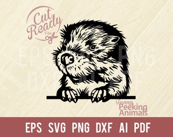 Peeking Calf SVG Comic Animal SVG Funny Animal Cut File, Wildlife ...