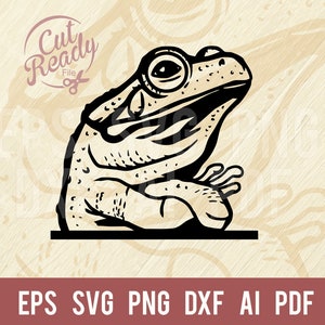 Funny Frog SVG Comic Animal SVG Funny Animal Cut File, Wildlife ...